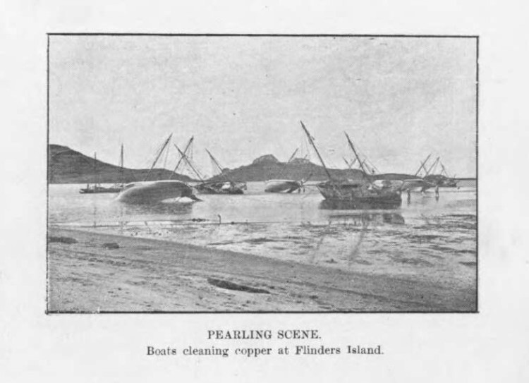 Cyclone Mahina & the loss of the North Queensland Pearling Fleet, 1899 ...